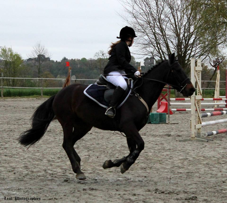 Grand-Prix Poney 3 & Poney 4 - 13 avril 2014
